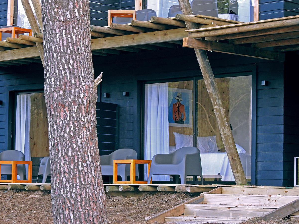 Home [www.bosquelasdelfinas.com]